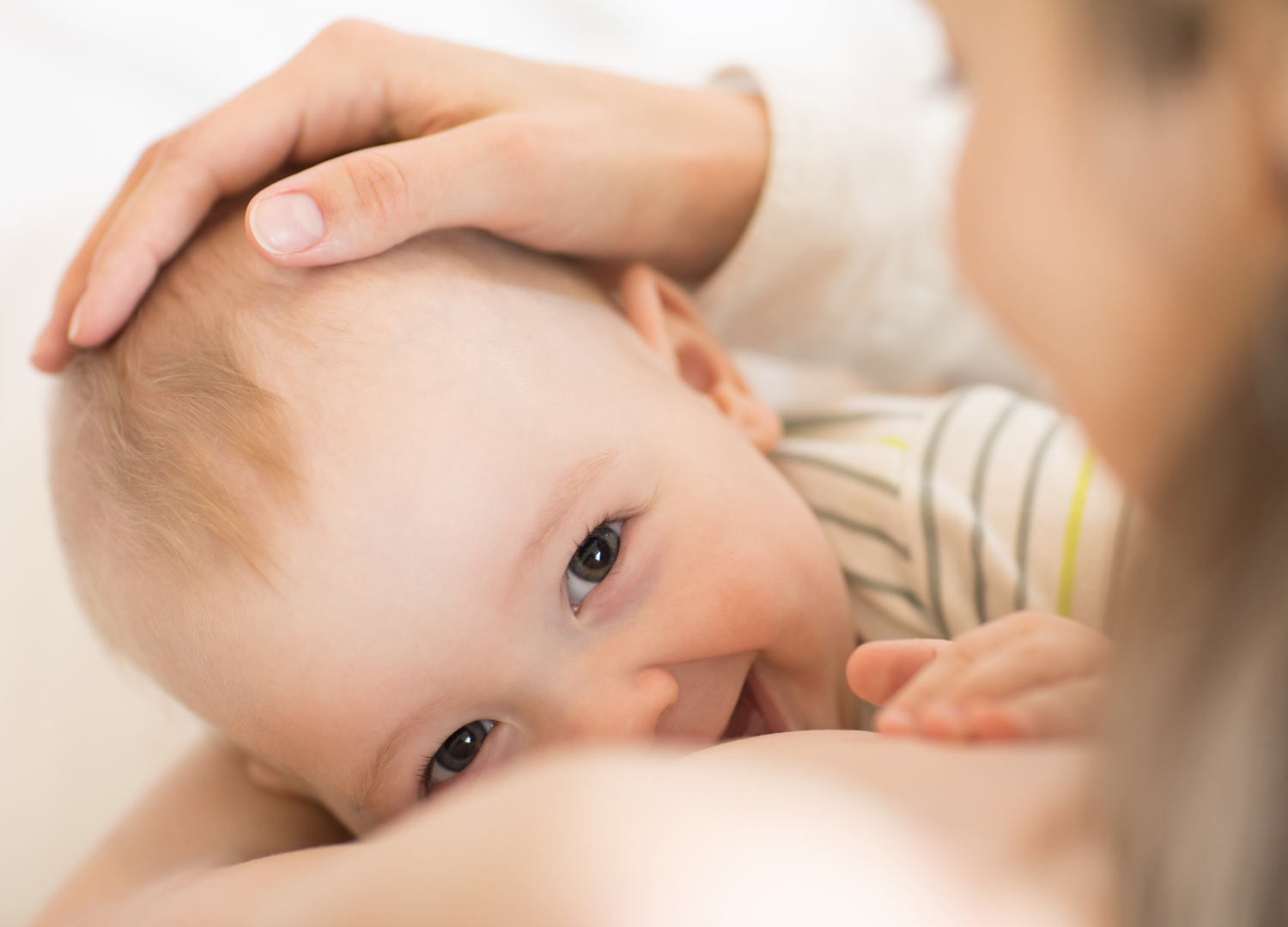 Breastfeeding Help For New Moms - My Pure Delivery